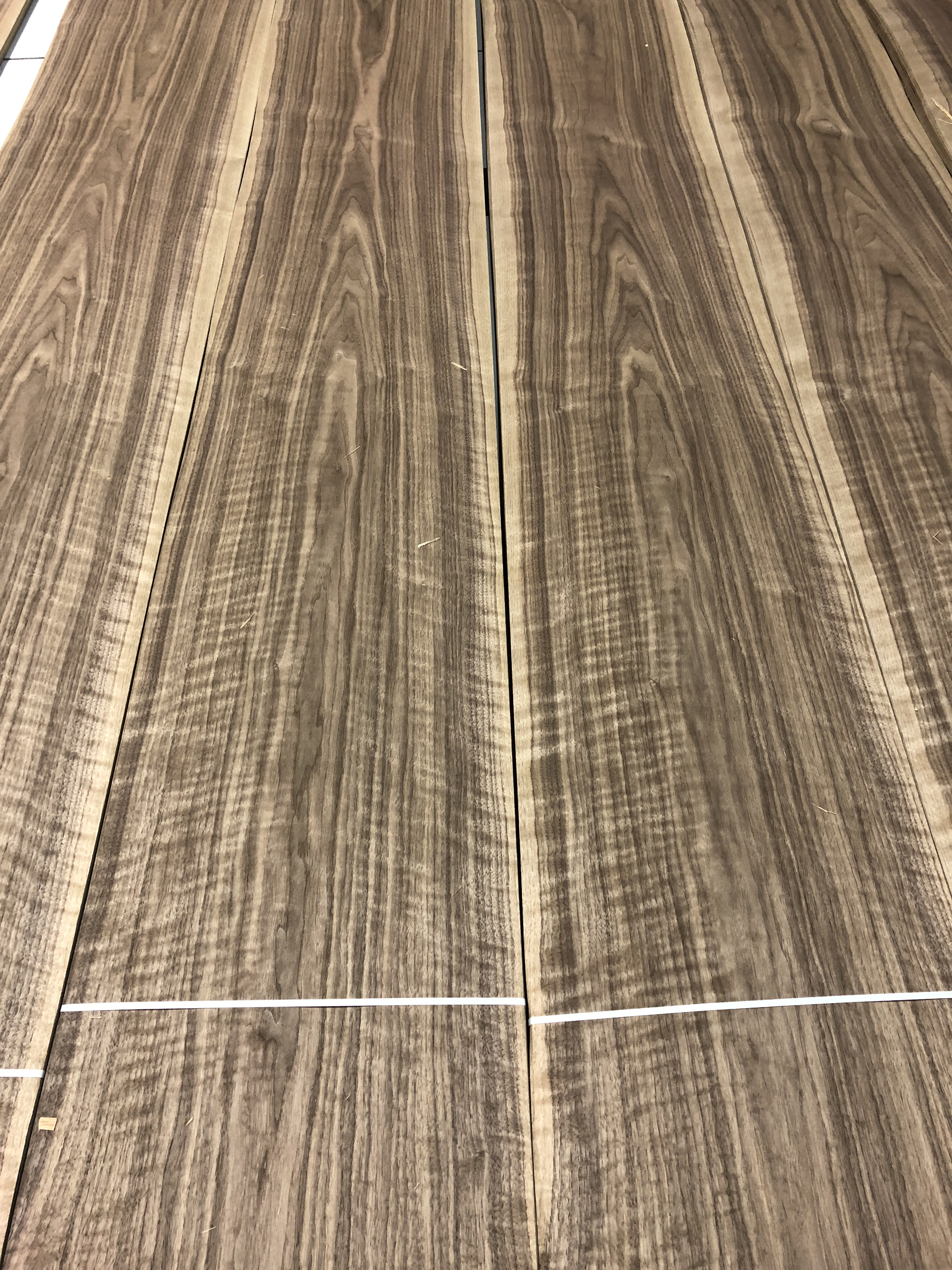 HOME | mitchellveneer
