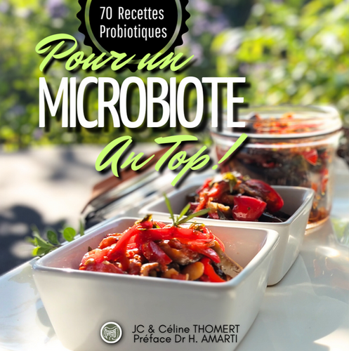 70 RECETTES POUR UN MICROBIOTE AU TOP | VIE SIMPLE ET SAINE