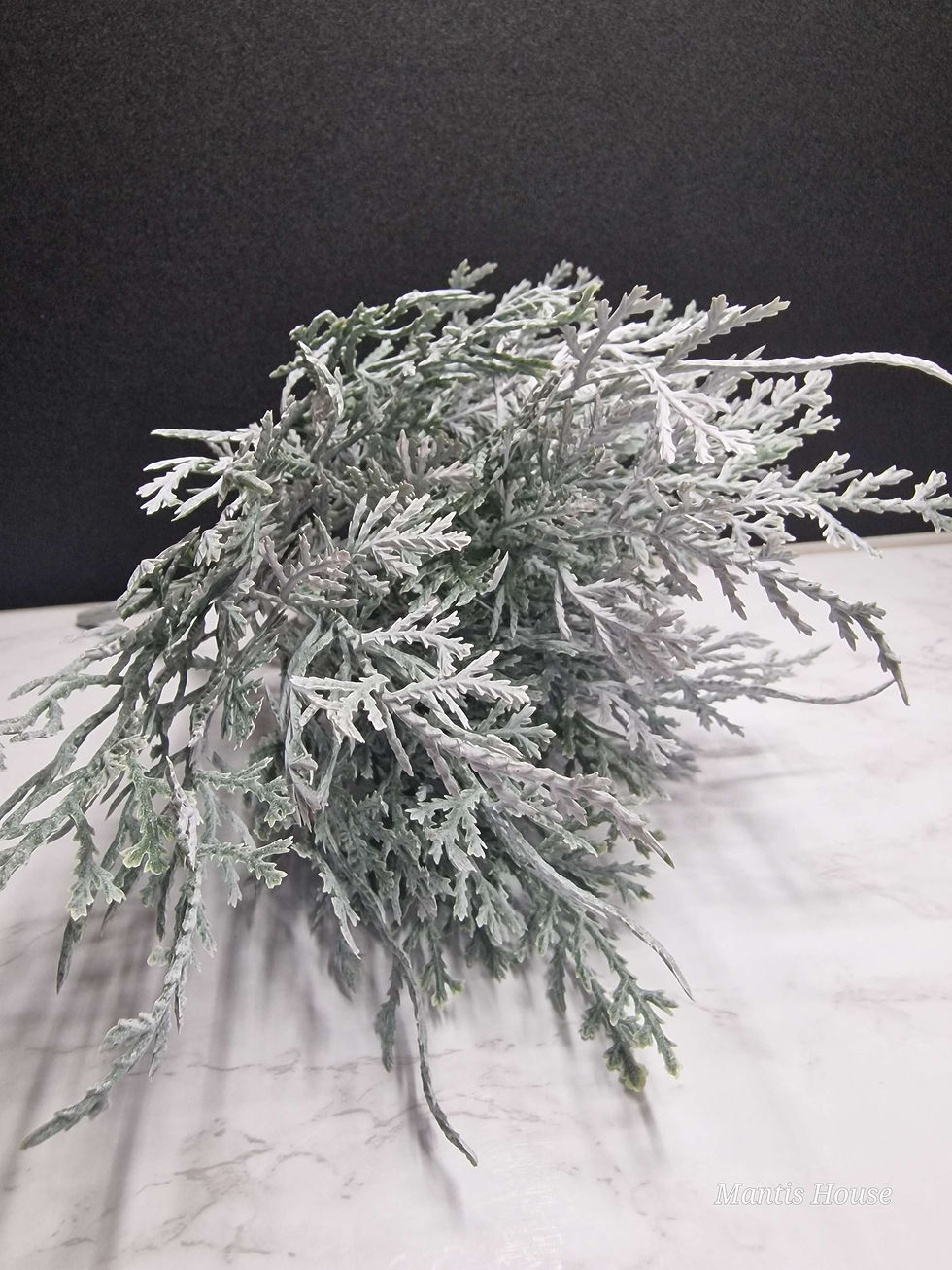 Artificial Decor | Mantis House