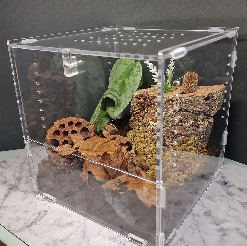 Enclosures & Accessories | Mantis House