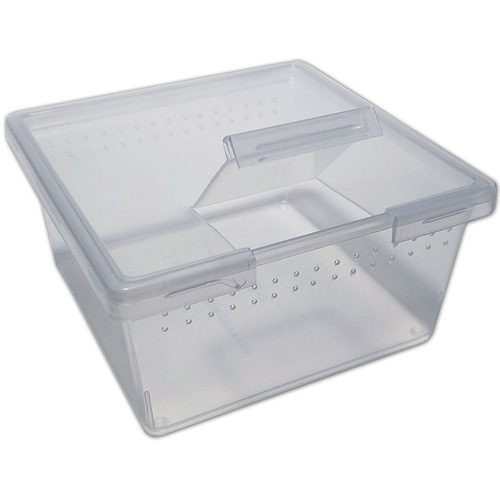 Spiderling Tub Small | Mantis House