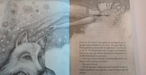 Home | Brogan Thomas Author - Official website of Brogan Thomas. Author ...