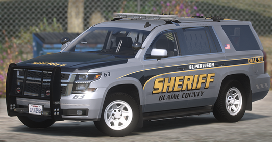 BCSO Mega Skin Pack | Paul Modifications