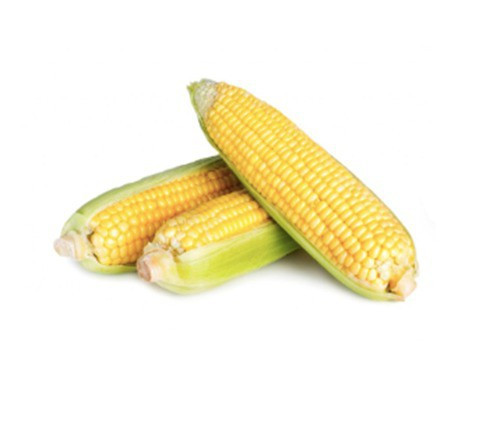 Choclo americano (1ud) | Sandía Calá