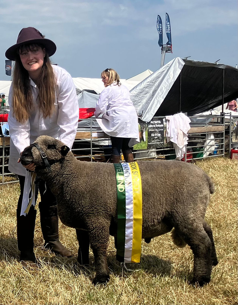Farm | Tranwell Coloured Ryelands | Morpeth