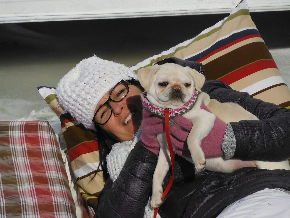 Tipping Point Farm | Pug Pictures | New London, OH