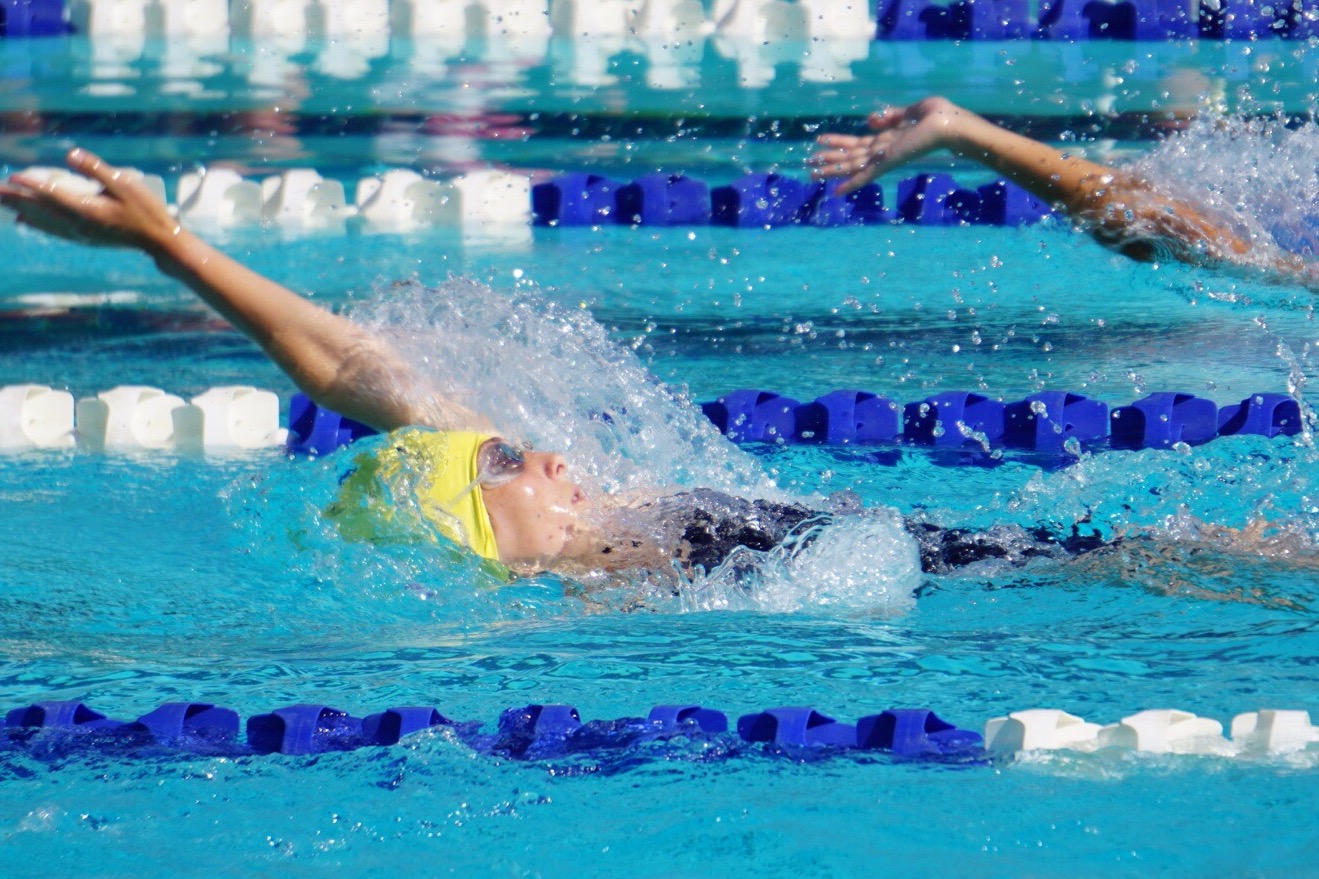 Swim Team | dolphinswimclub