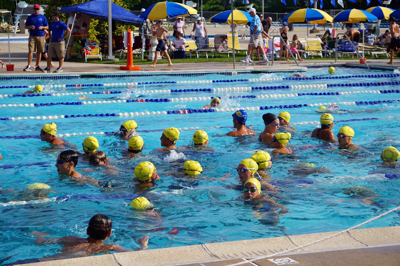 Swim Team | dolphinswimclub