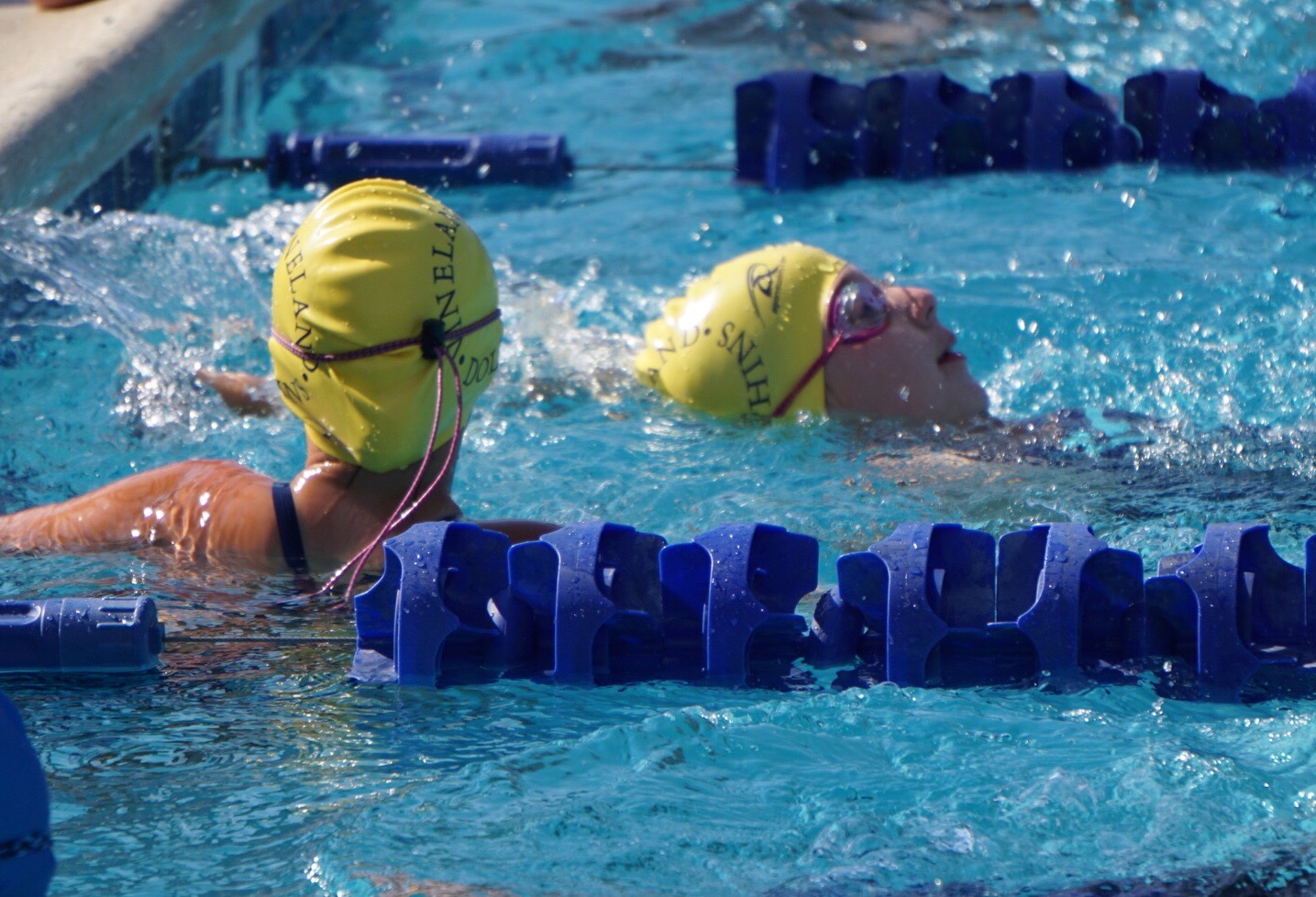 Swim Team | dolphinswimclub