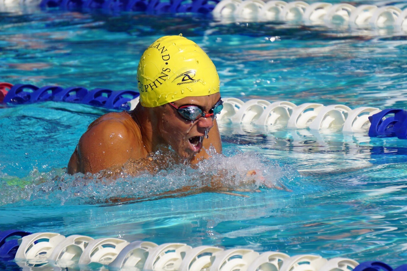 Swim Team | dolphinswimclub