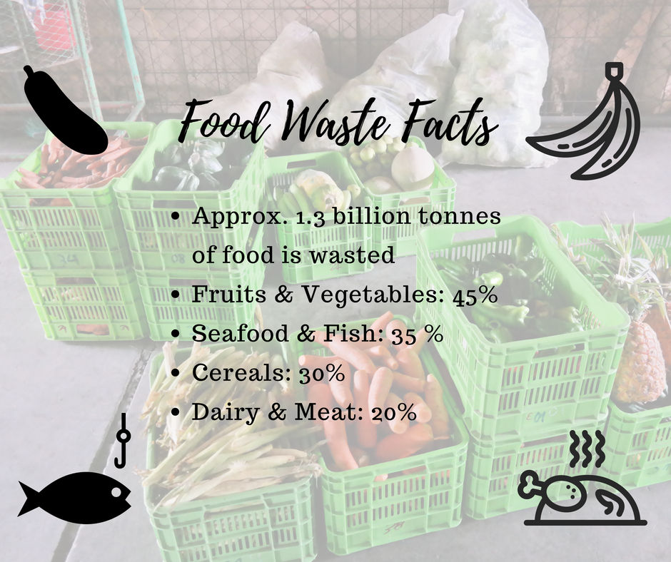 Global Food Waste Facts & What You Can Do
