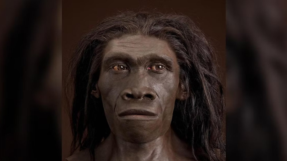 Mendedah Terminologi Prasejarah