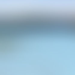 HOME | Paul Haggith - Australian Realist Painter