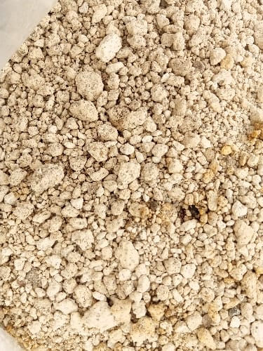 Arena Pómez | gardendepotgt