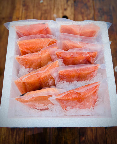 Big Box King Salmon 10lbs | Gio’s Fish