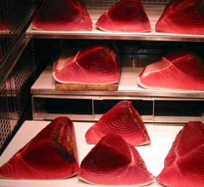 Shop Gio's Seafood Big Box Collection - Save Big on Fresh Seafood!