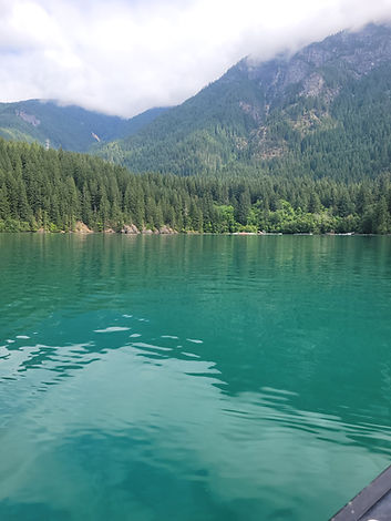 Contact | Carley Rabbit