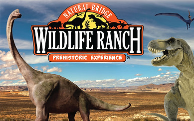 News | Natural Bridge Wildlife Ranch