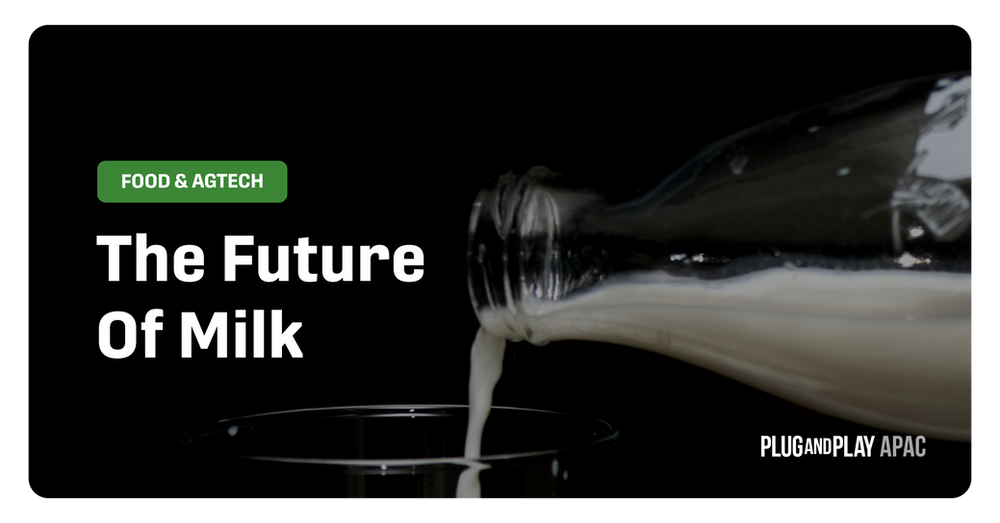 The Future Of Milk