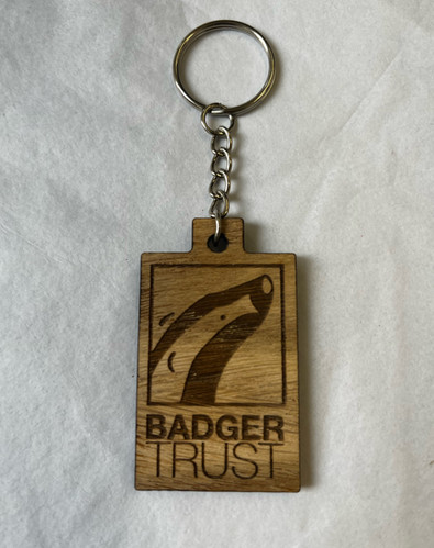 Badger Trust Keyring | Badger Trust
