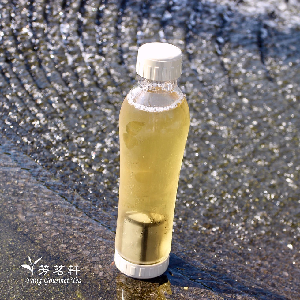 Travel Buddy Hot/Cold Dual Use Tea Infuser Bottle | Fang Gourmet Tea