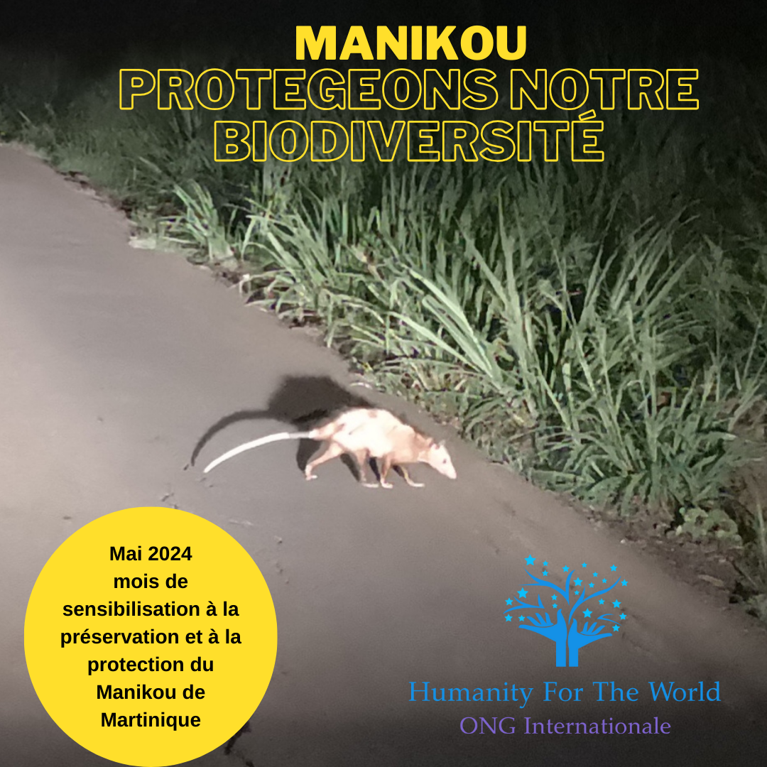 Humanity For The World (HFTW) lance le mois de sensibilisation à la ...