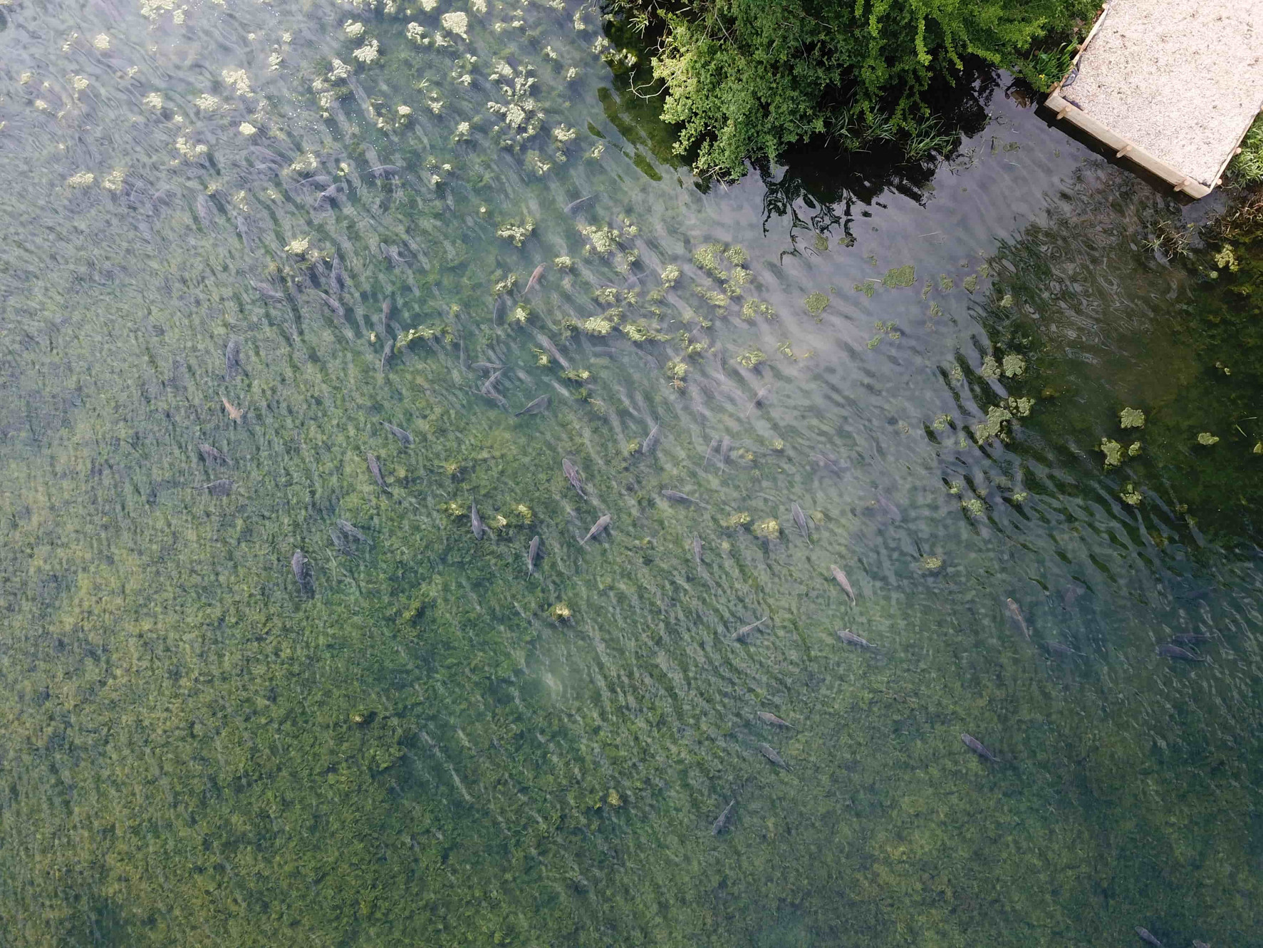 In-Situ | Advanced Water Monitoring