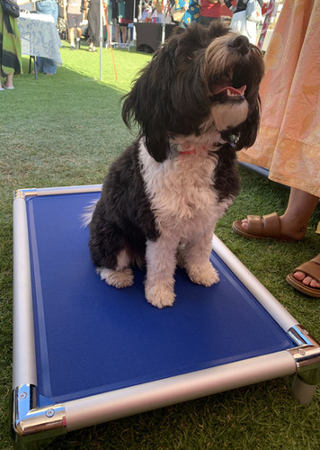 Ultra Tuff Stuff Silver Frame Bed - Medium | Tuff Stuff Products