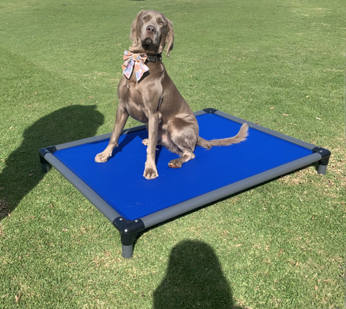 Ultra Tuff Stuff Silver Frame Bed - Large | Tuff Stuff Products