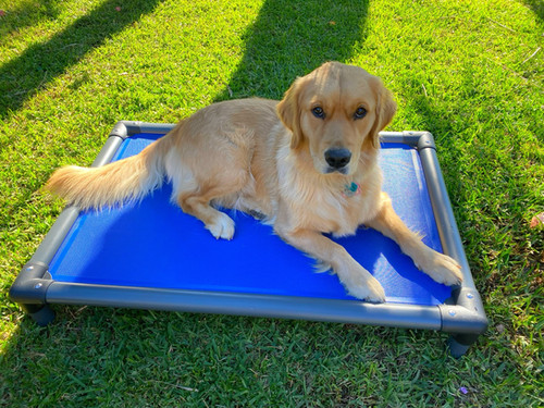 Supa Tuff Stuff Bed - Large | Tuff Stuff Products