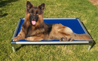 Ultra Tuff Stuff Silver Frame Bed - Large | Tuff Stuff Products