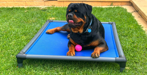 Supa Tuff Stuff Bed - XLarge | Tuff Stuff Products