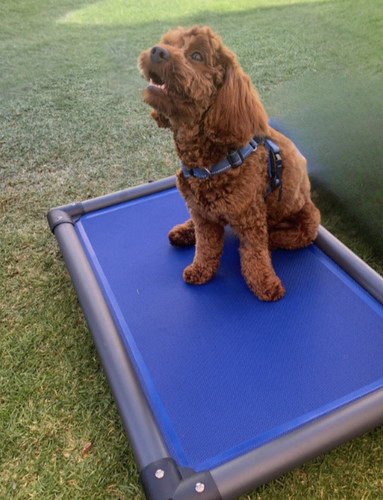 Supa Tuff Stuff Bed - Medium | Tuff Stuff Products