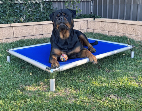 Ultra Tuff Stuff Silver Frame Bed - XLarge | Tuff Stuff Products