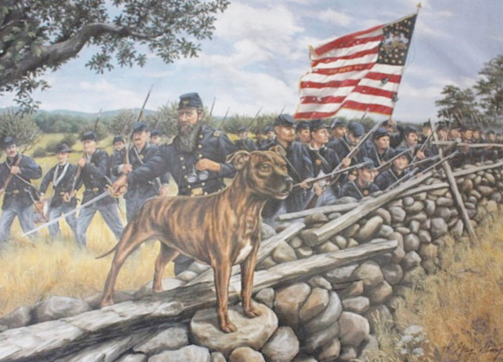 Battle of Gettysburg: Day One - The Armies Collide