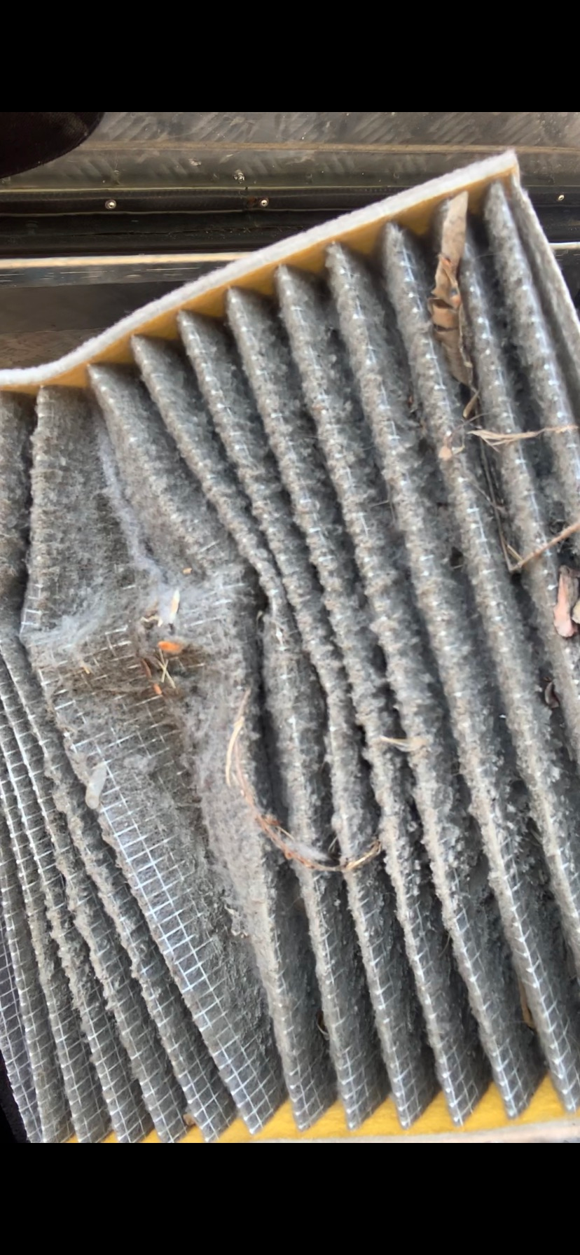 Home | ViewMyCar Mobile Mechanic Sunshine Coast