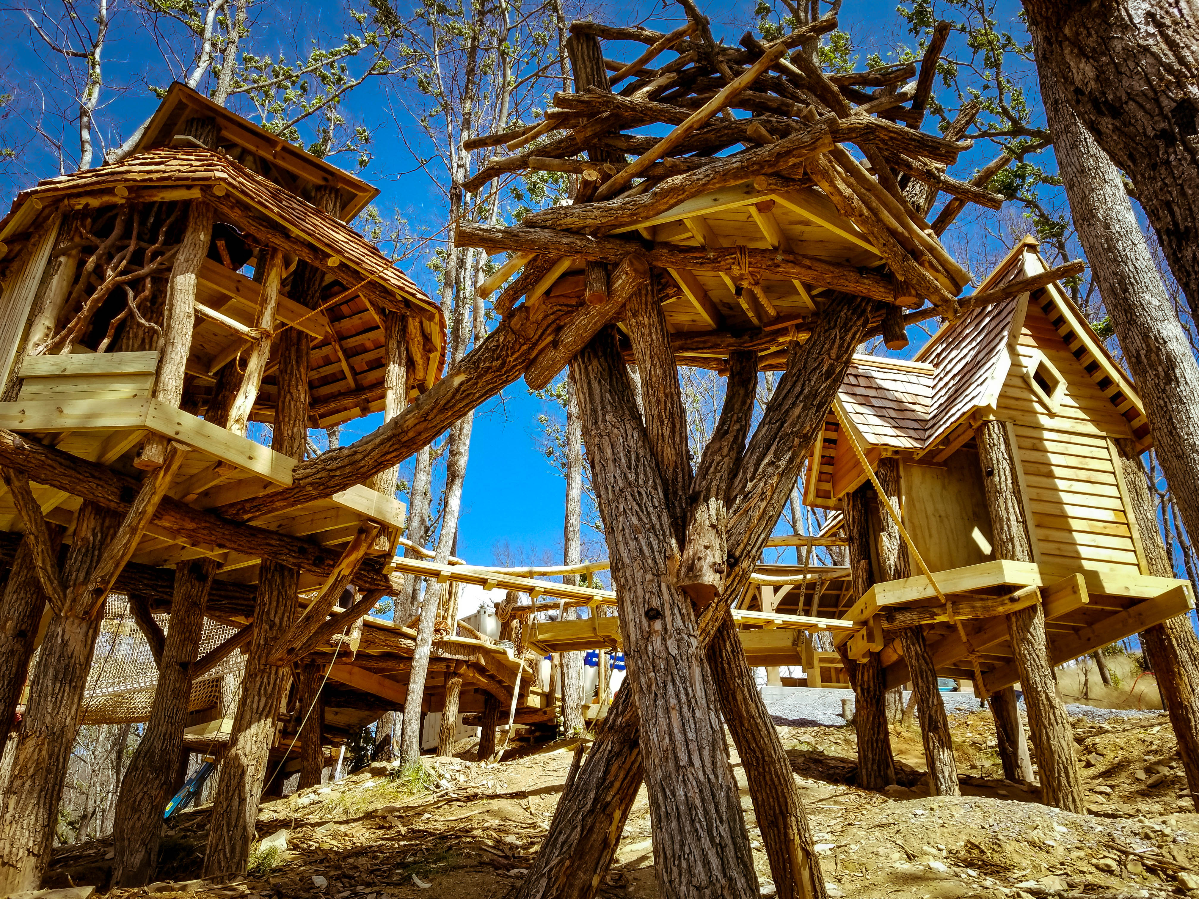 Treehouse Playground | Anakeesta | Beanstalk Builders