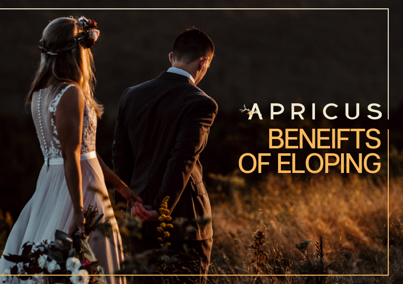 Apricus Blog | Apricus Venue | Corinth - Dallas