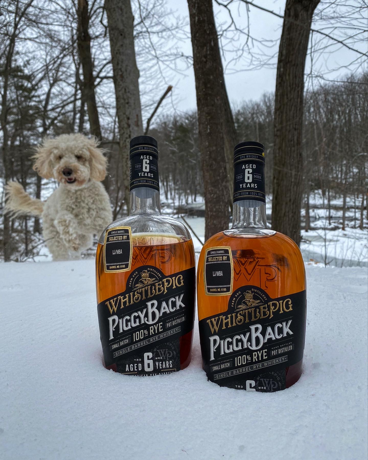 WhistlePig PiggyBack 100% Rye Review - Mass Bourbon Alliance / Liquor Junction Single Barrel Pick