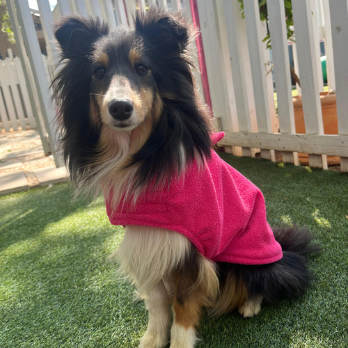 Ultimate Dog Towel Jacket - Made By Glyn | Ramsay Rehab