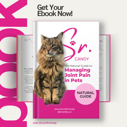 Sr. Candy - Managing Joint Pain | Ramsay Rehab