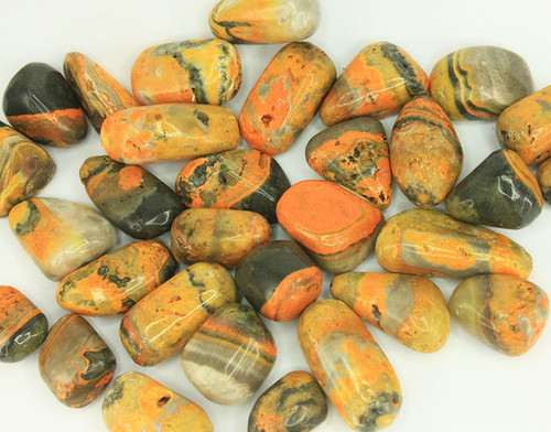 Bumblebee Jasper Tumbled | Twinkle Twinkle Litt