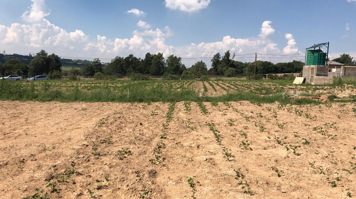 The Compost Kitchen | Organic waste recyling | Dainfern | Vermicompost