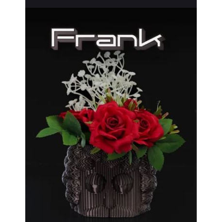 Frank | Transform3D