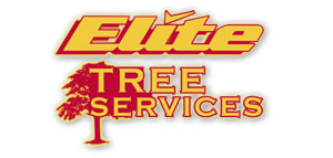 Elite Tree Service | Gallery of our work | tree service company NJ