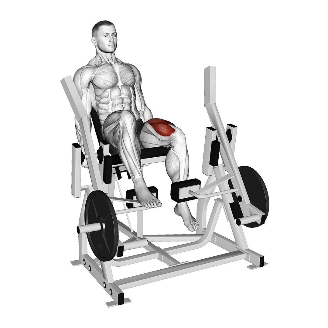Seated Leg Extensions: Complete Guide to Quadriceps Isolation and Strength