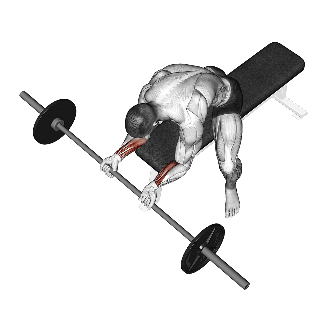 Wrist Curls with Dumbbells: Stronger Forearms