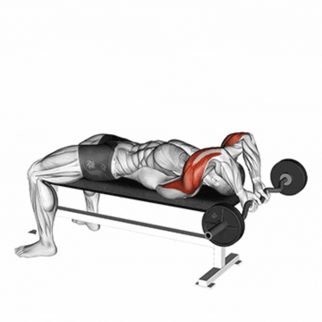Best Triceps Exercises for Mass: Build Strong and Defined Arms