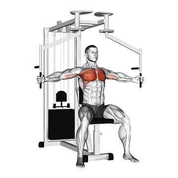 Pec Deck Fly: Sculpting a Powerful Chest