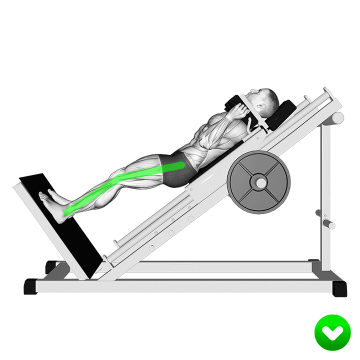 Hack Squat: Complete Guide to Machine-Based Lower Body Power